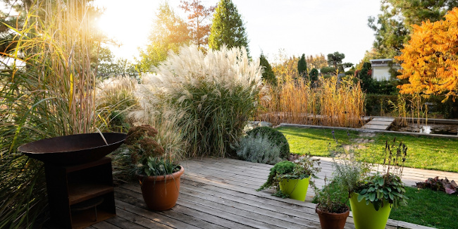 Native Landscaping, Raleigh, NC | Garden Environments
