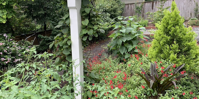 Natural Landscaping, Chapel Hill, NC | Garden Environments