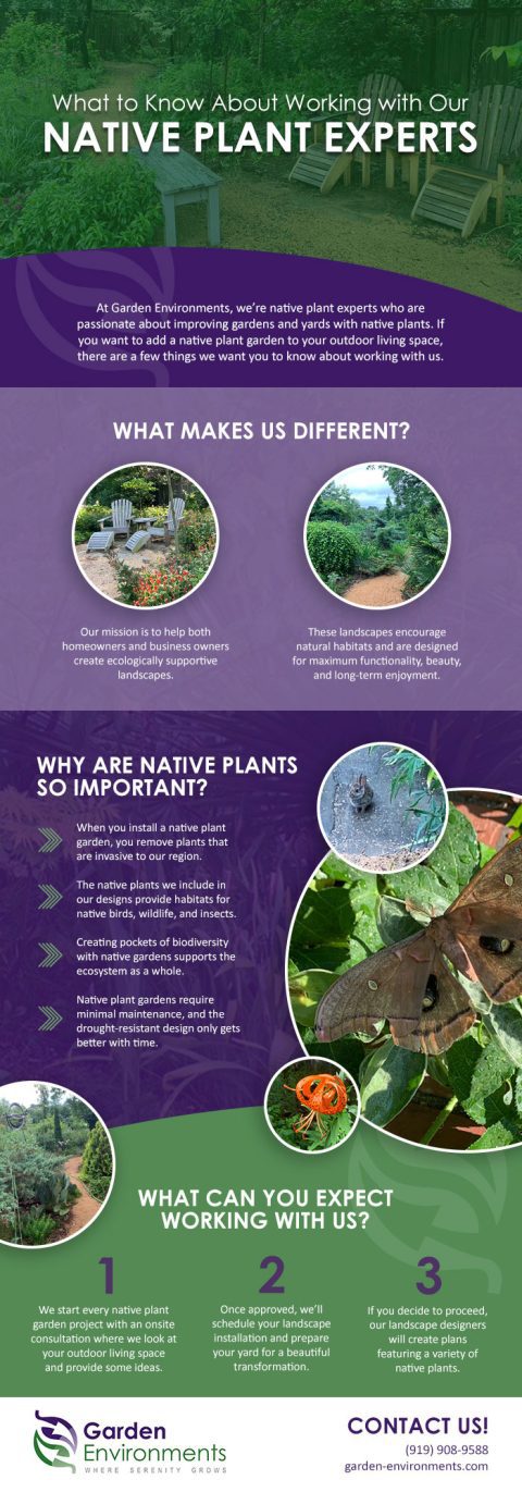 What You Should Know About Working with Our Native Plant Experts ...