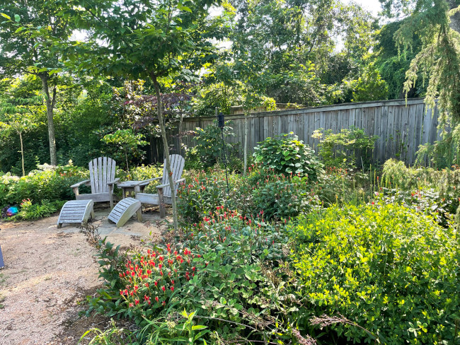 Native Landscaping, Raleigh, NC | Garden Environments